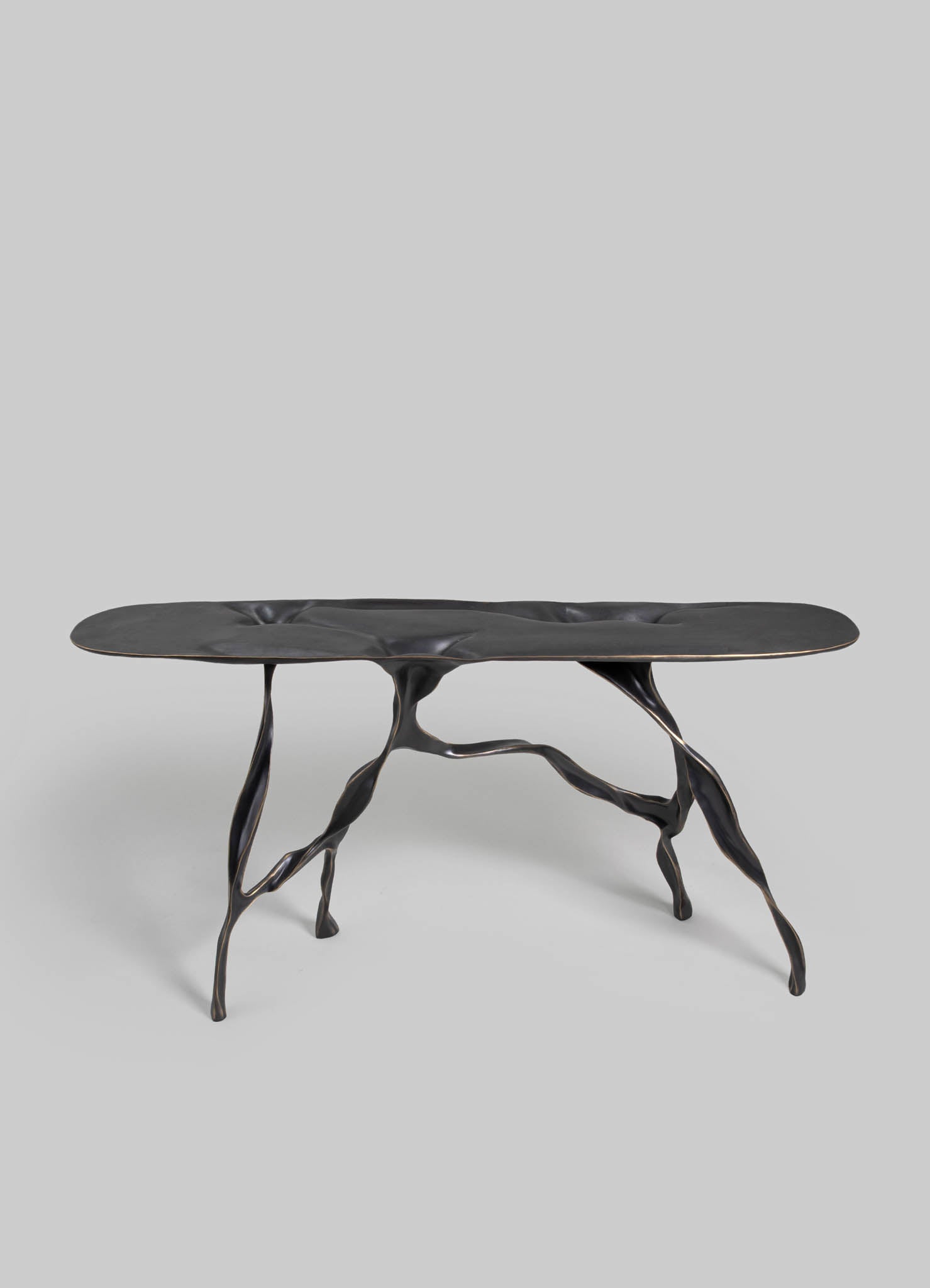 Viya Brass Under The Banyan Console Table